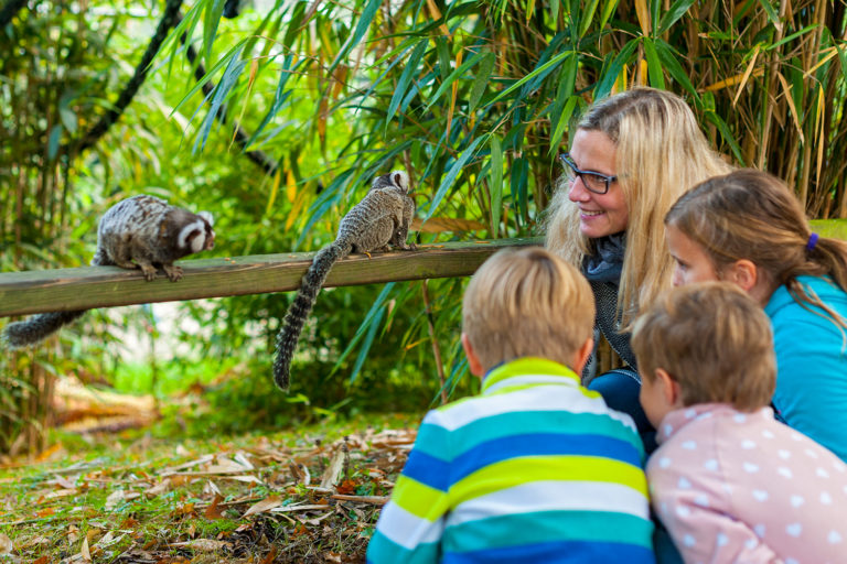 Zoo in der Wingst | Wingster Waldzoo | Start